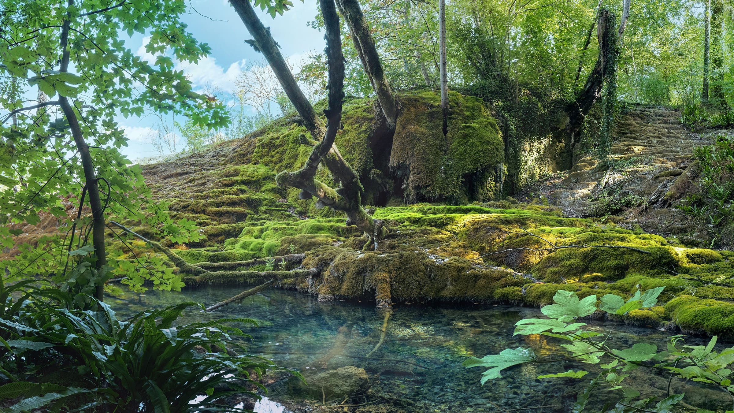 Parc National de forêts : l'appel de la forêt | Femmes en Bourgogne